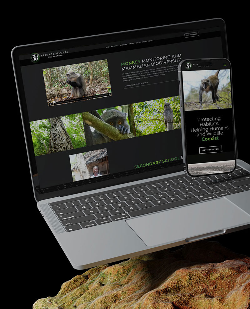 Primate Global Foundation | Savy Agency